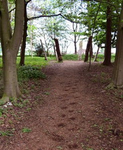 Beyond Knowing Nature – 5 Pathways to Nature Connection | Finding Nature