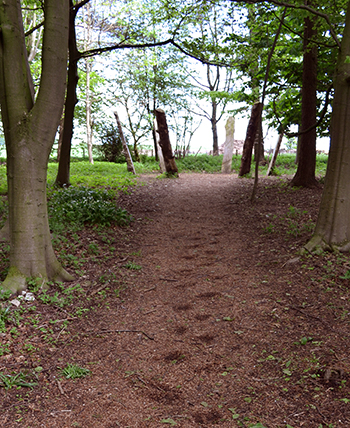 Reflecting on our nature: How mindfulness and self-reflection predict ...