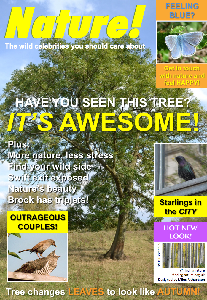 Applying the Pathways to Nature Connectedness | Finding Nature