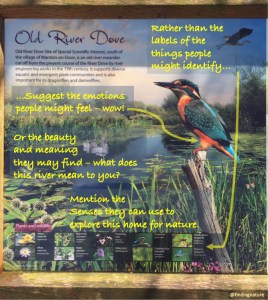 Beyond Knowing Nature – 5 Pathways to Nature Connection | Finding Nature