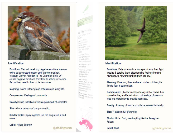 A Guide to Nature | Finding Nature