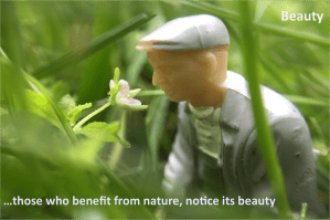 Applying the Pathways to Nature Connectedness | Finding Nature