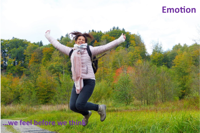 Applying the Pathways to Nature Connectedness | Finding Nature