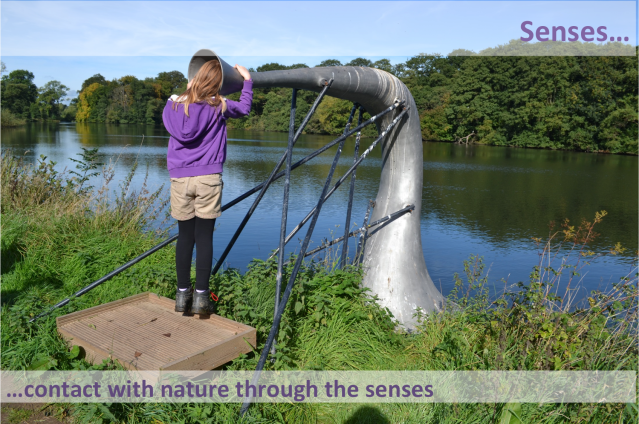 Applying the Pathways to Nature Connectedness | Finding Nature