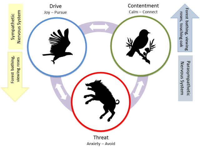 How nature helps manage our emotions | Finding Nature