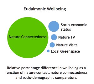 Beyond Nature Contact to Connection: A Missing Link in a Sustainable ...