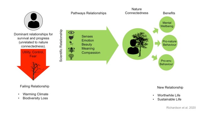 Applying the Pathways to Nature Connectedness at Societal Scale ...