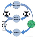 Actions for visible biodiversity help noticing nature and nature ...