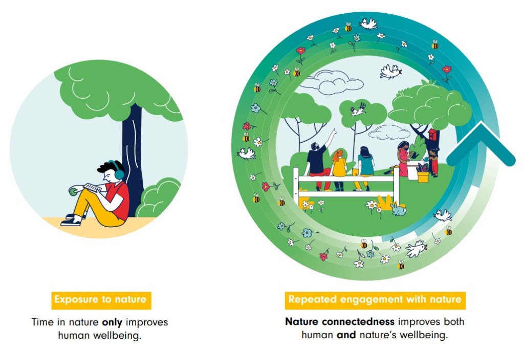 Finding Nature | Nature Connectedness Research Blog by Prof. Miles ...