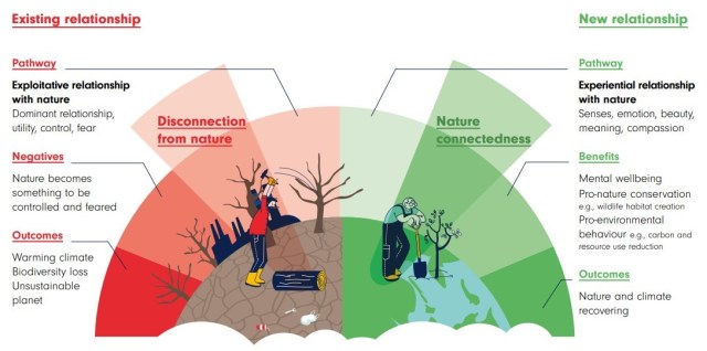 Finding Nature | Nature Connectedness Research Blog by Prof. Miles ...