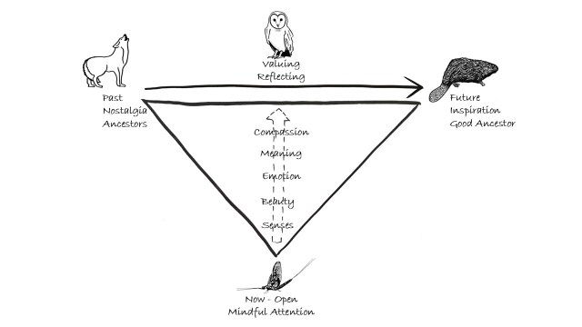 Finding Nature | Nature Connectedness Research Blog by Prof. Miles ...