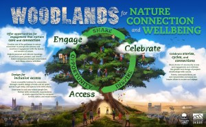 Finding Nature | Nature Connectedness Research Blog by Prof. Miles ...