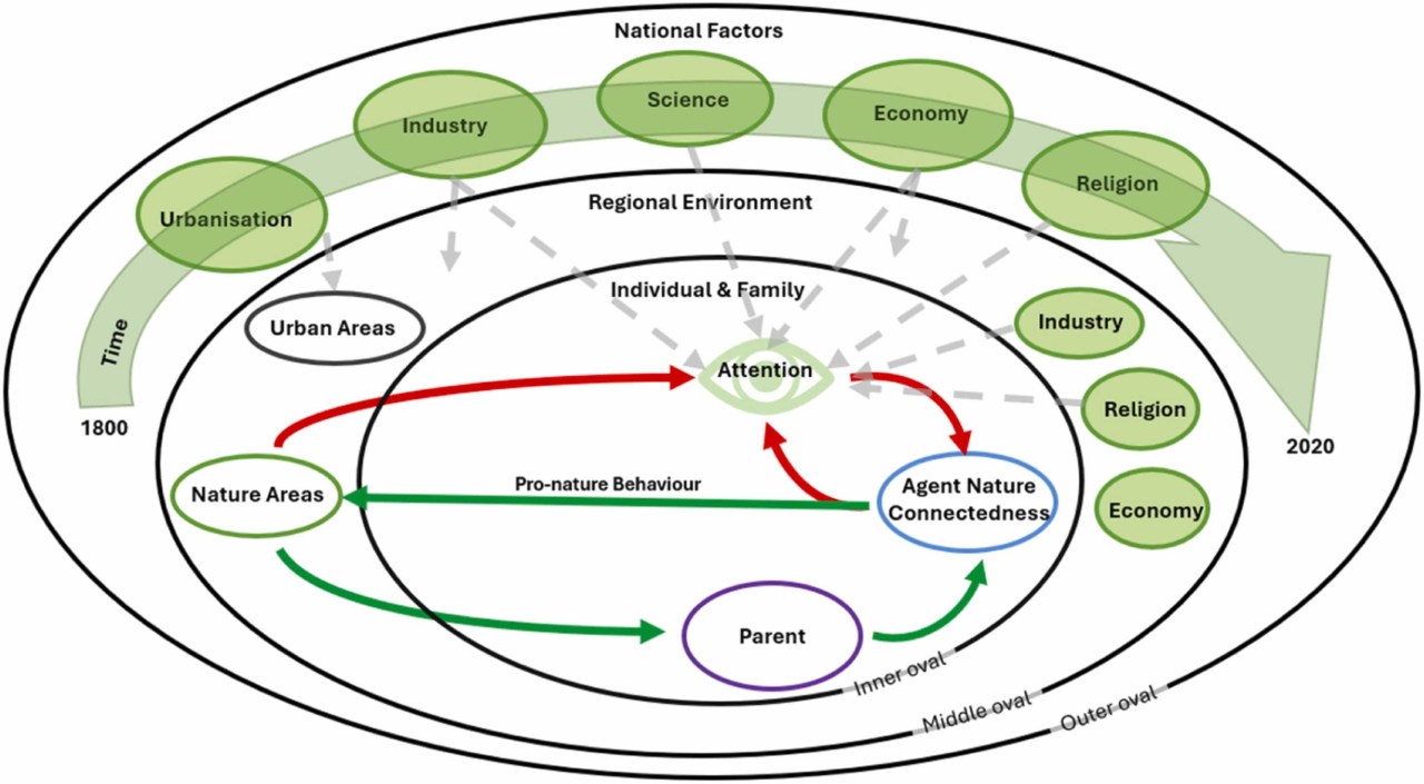 Finding Nature | Nature Connectedness Research Blog by Prof. Miles ...